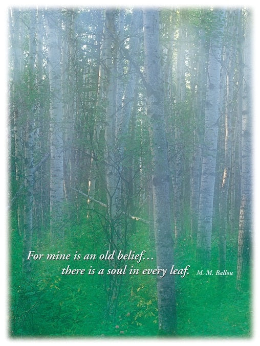 Tree Dedication Card - Soul in Every Leaf – TreePeople Store