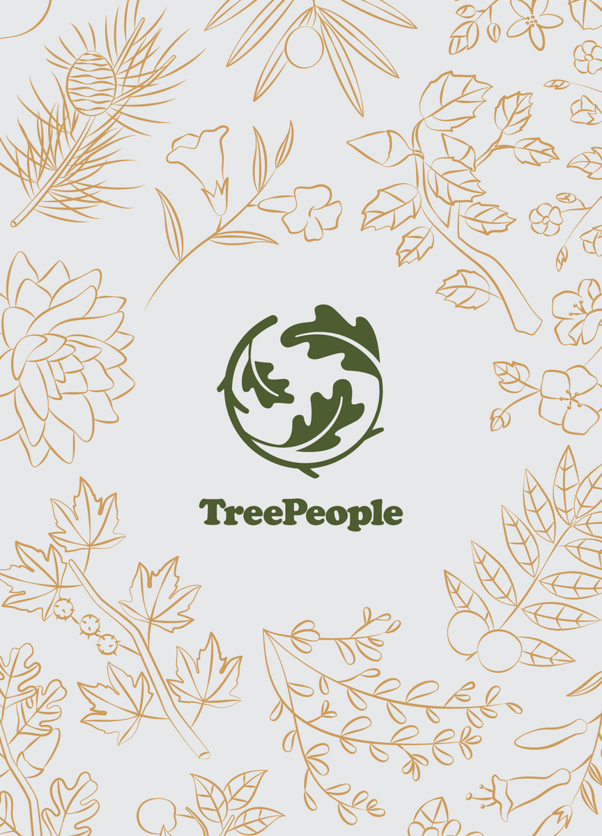 Tree Dedication Card - Whimsical Native Plants (White) – TreePeople Store