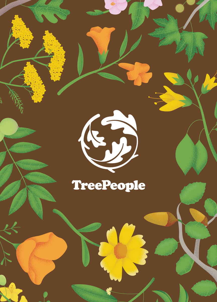Tree Dedication Card - Vibrant Native Plants (Brown) – TreePeople Store